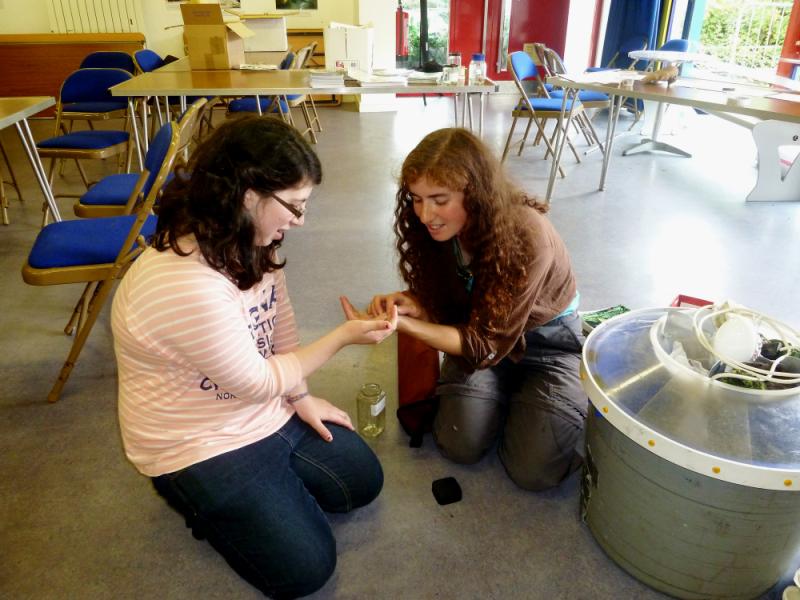 Gallery - East Border Region