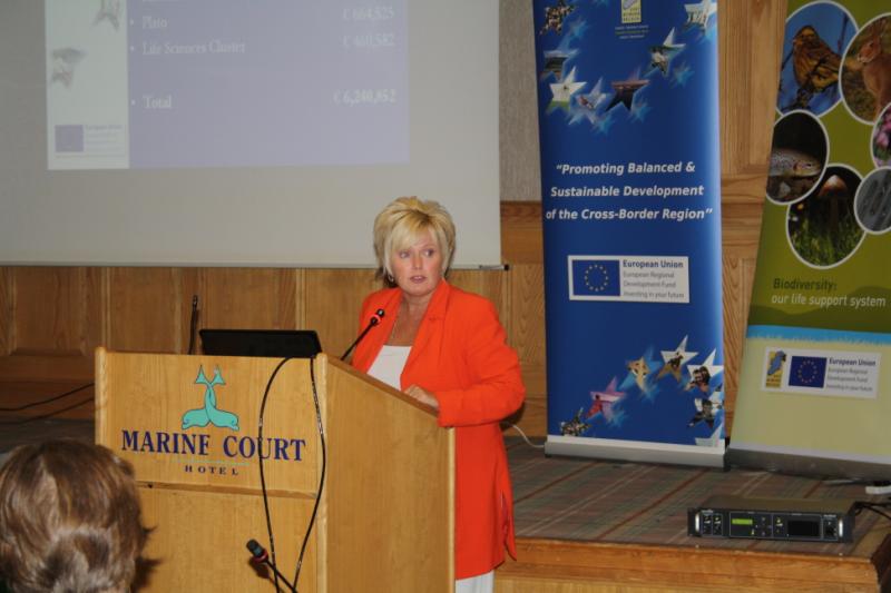 Gallery - East Border Region